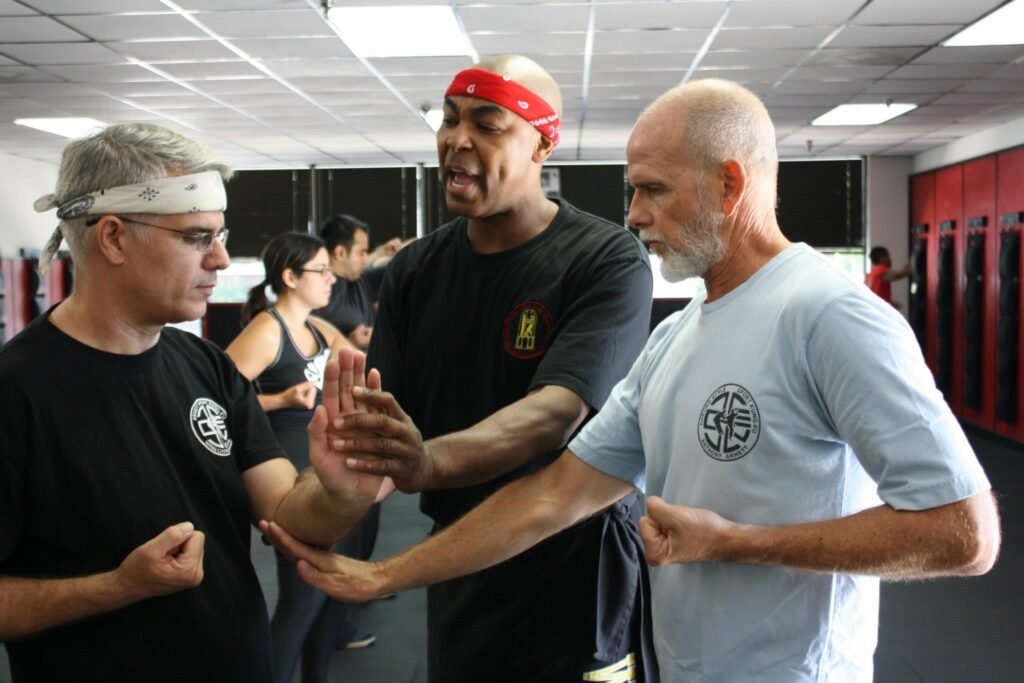 The Role of Chi Sao in Wing Chun Lineage: Exploring Different ...