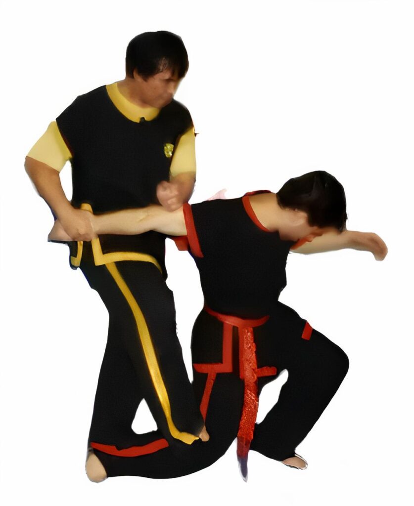 Mastering Wing Chun Kung Fu: How to Perfect Your Techniques and Embody ...